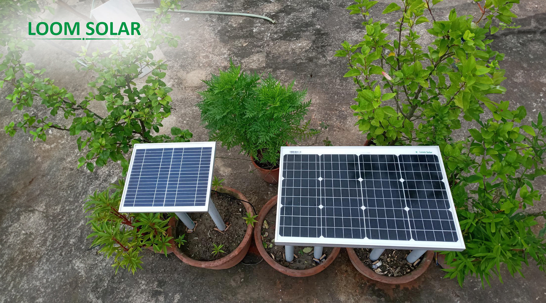 Solar Power Hydroponics